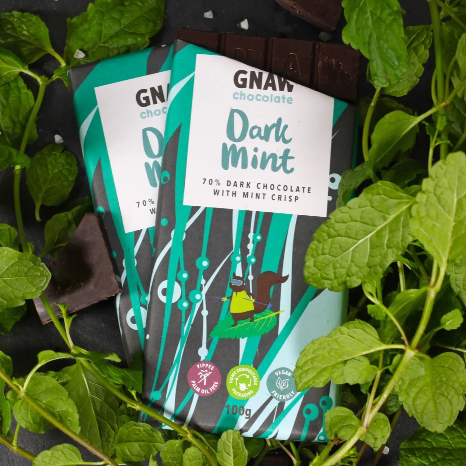 *New* Mint Crisp Dark Chocolate Bar – GNAW Chocolate